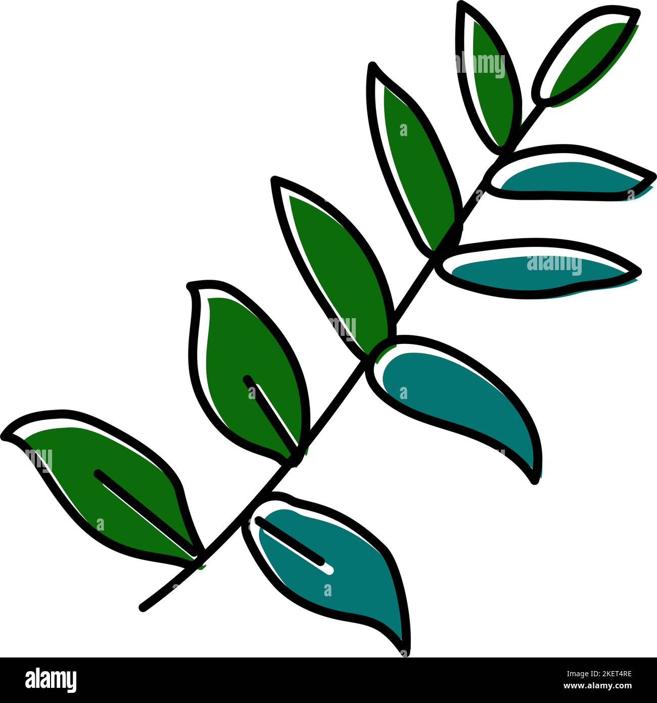 zamioculcas tropical leaf color icon vector illustration Stock Vector Image & Art - Alamy