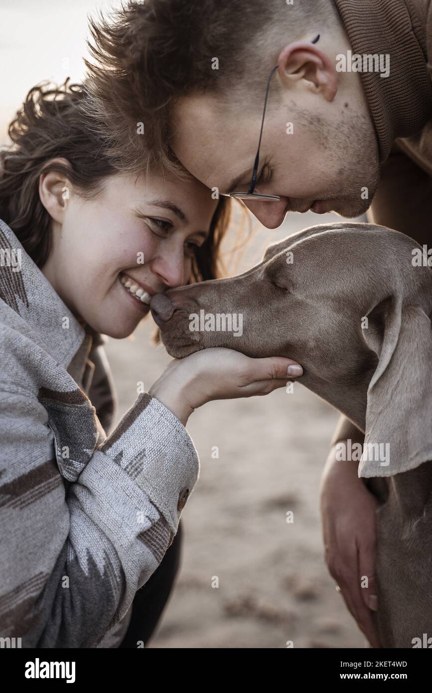 human with Weimaraner Stock Photo - Alamy
