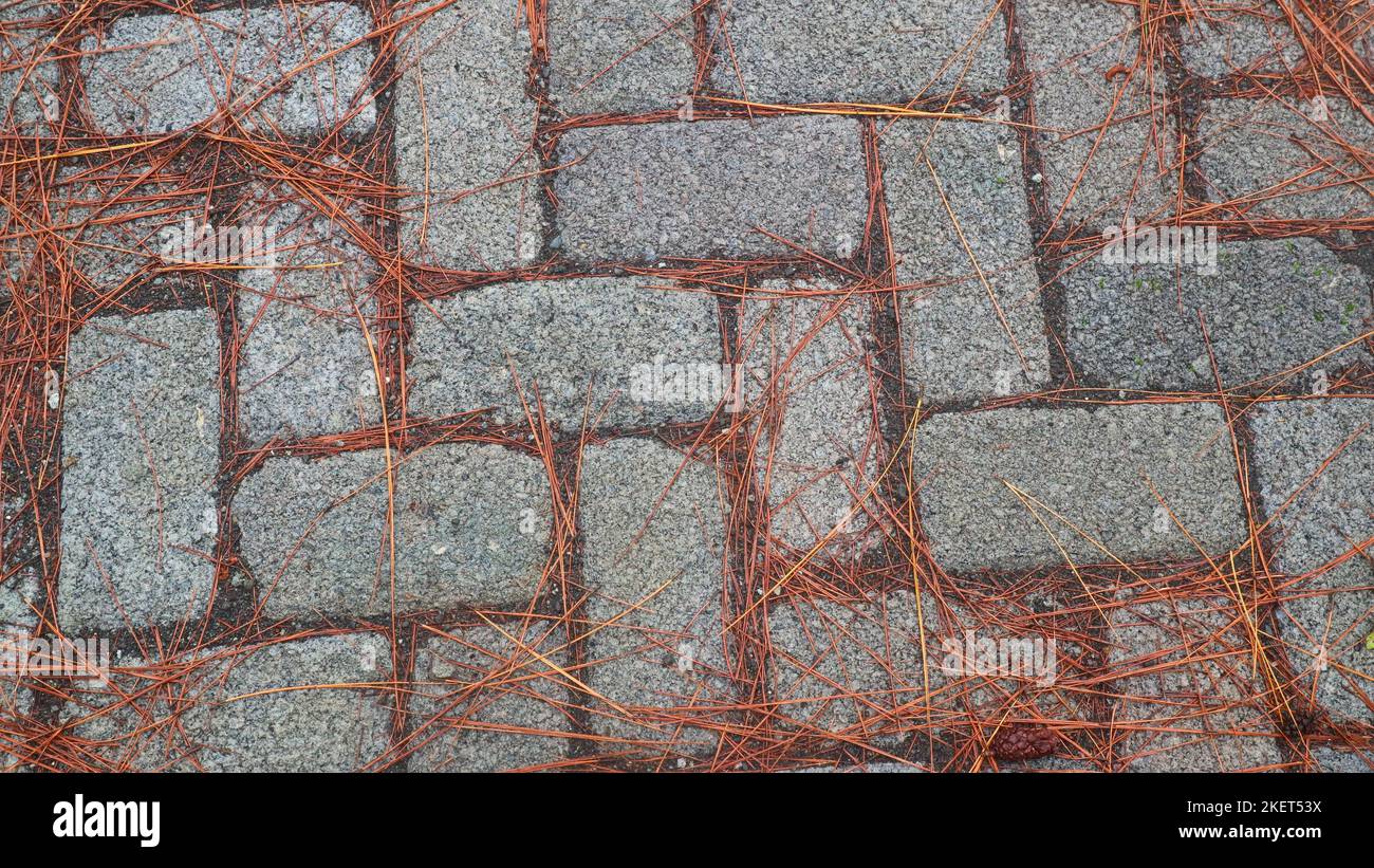 paving block floor as background Stock Photo - Alamy