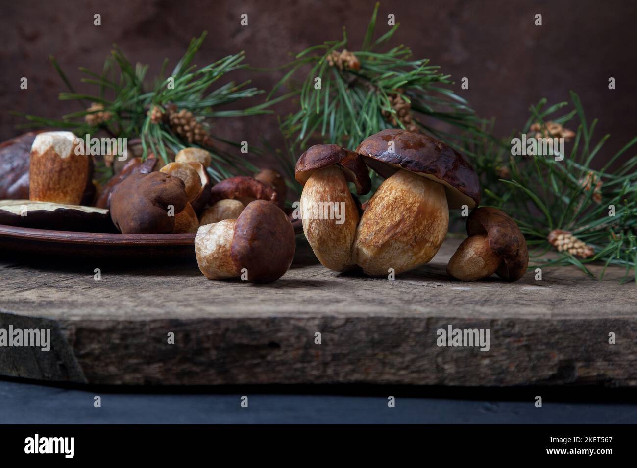 Autumn composition of boletus badius, imleria badia or bay bolete ...