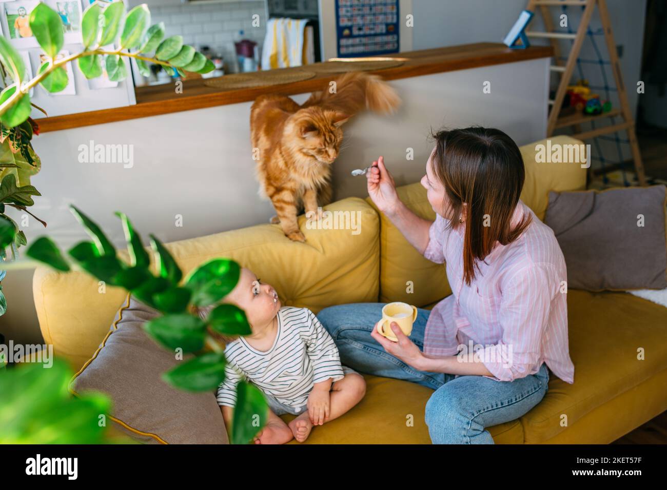 Mom feeds a small child at home with yogurt from a spoon. Family ...