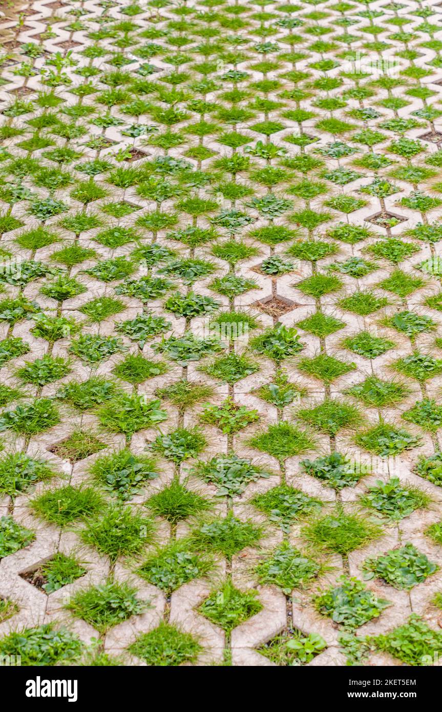 close up green weave texture background Stock Photo - Alamy