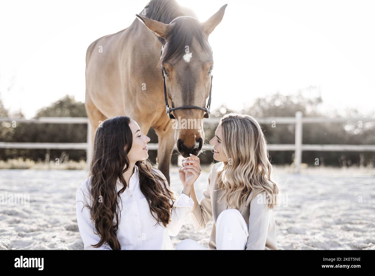 Mare soil hi-res stock photography and images - Alamy