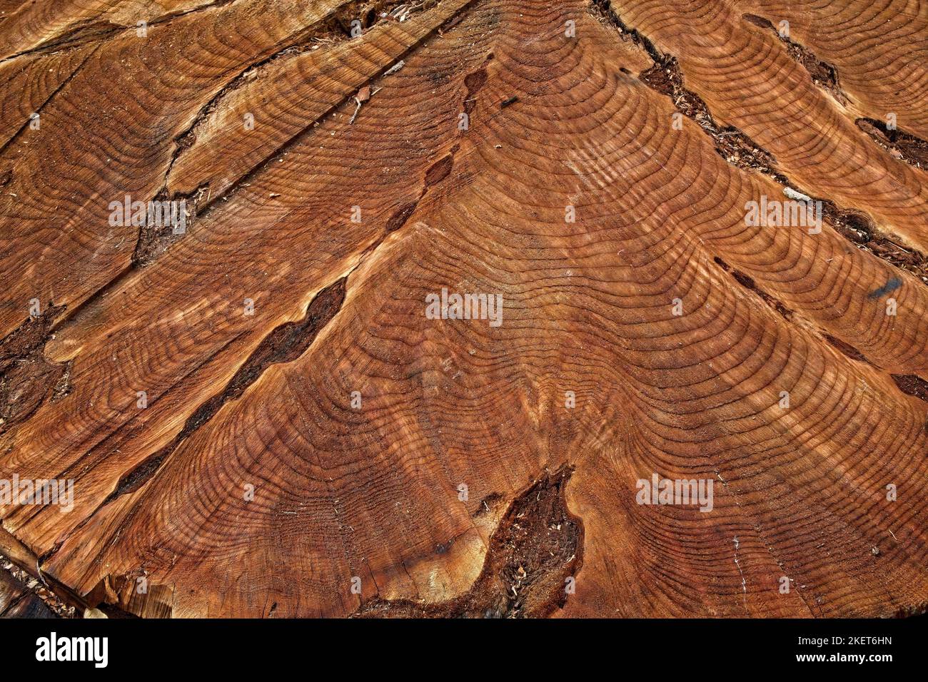 Cencentric rings hi-res stock photography and images - Alamy