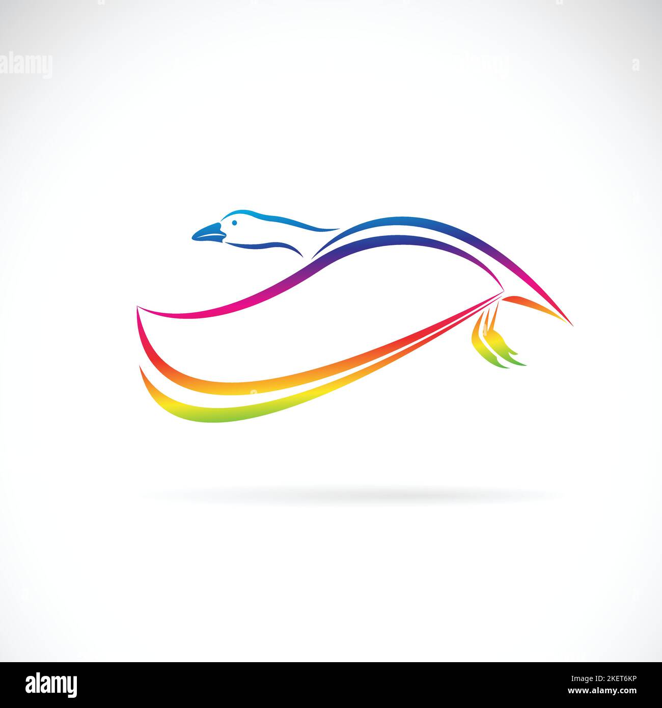 Vector of flying duck design on white background. Wild Animals. Easy ...