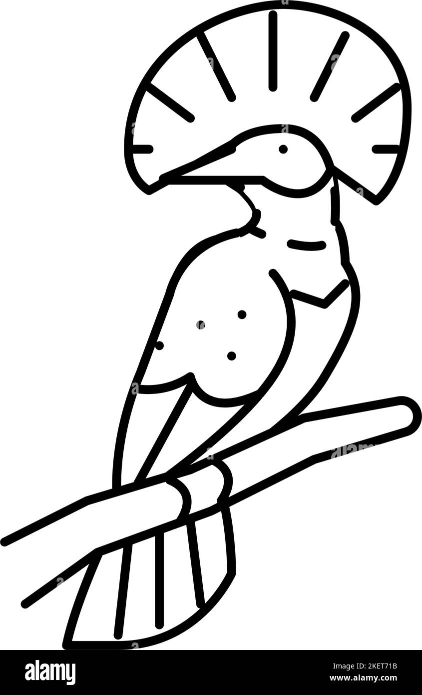 royal flycatcher bird exotic line icon vector illustration Stock Vector ...