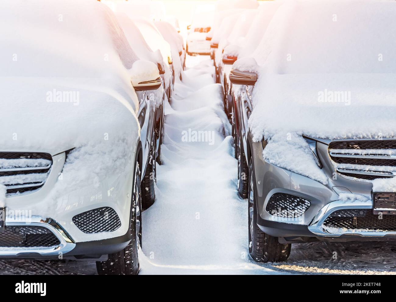 Two rows of cars covered with snow, a path in the snow in winter Stock ...