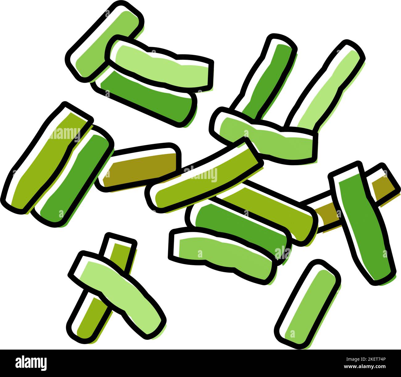 green bean ingredient color icon vector illustration Stock Vector Image ...