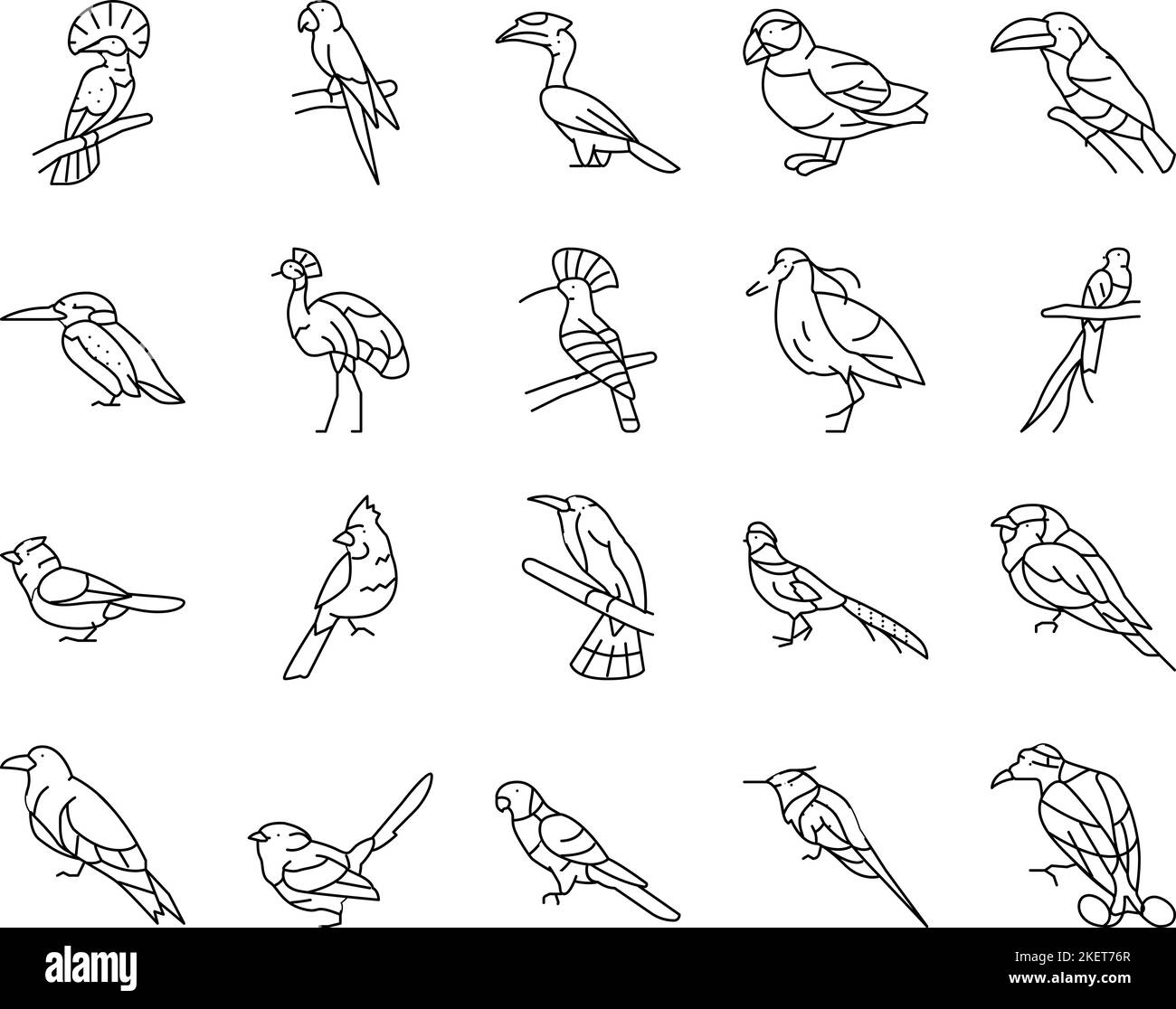 bird exotic animal nature wild icons set vector Stock Vector Image ...