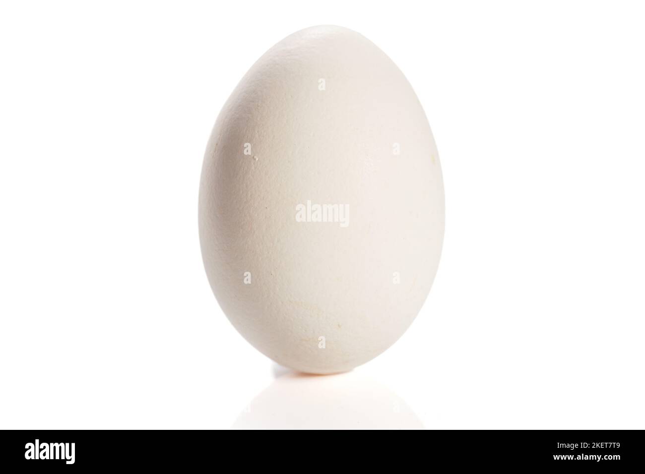 Single white egg hi-res stock photography and images - Alamy