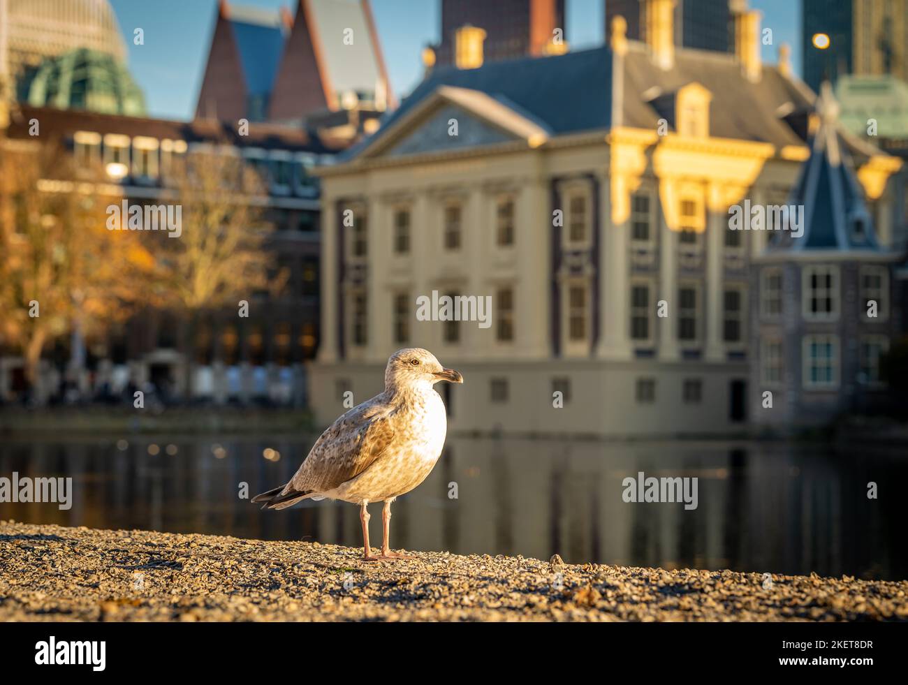 Skyline background mauritshuis binnenhof hi-res stock photography and ...