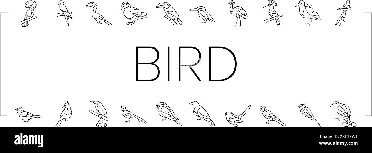 bird exotic animal nature wild icons set vector Stock Vector Image ...