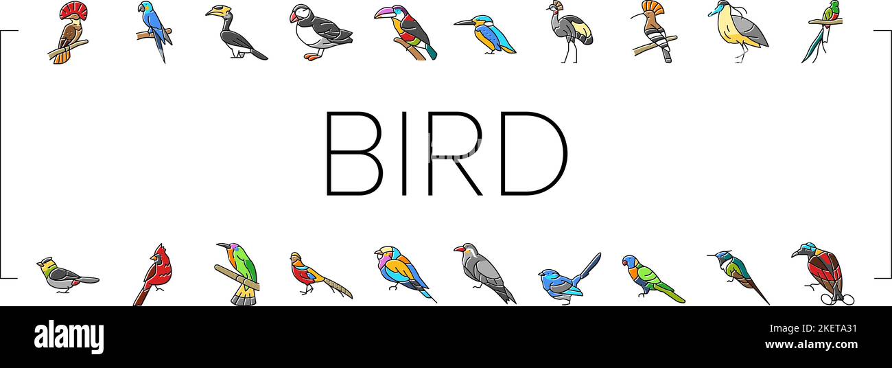 bird exotic animal nature wild icons set vector Stock Vector Image ...