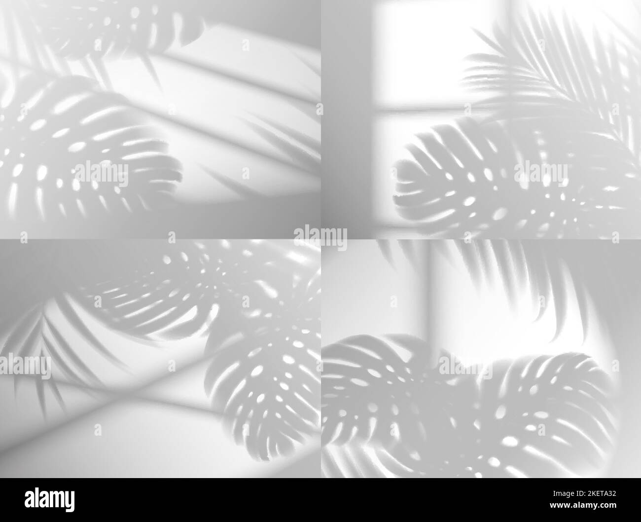 Reflection glass window tree Stock Vector Images - Alamy