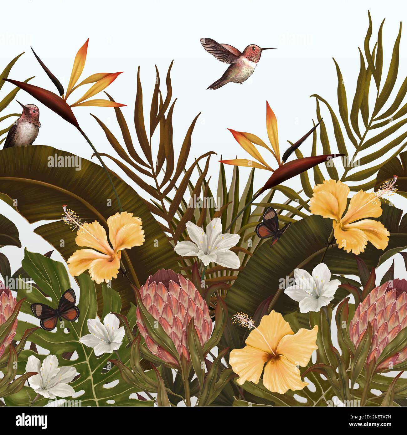 Hummingbirds And Flowers Wallpaper