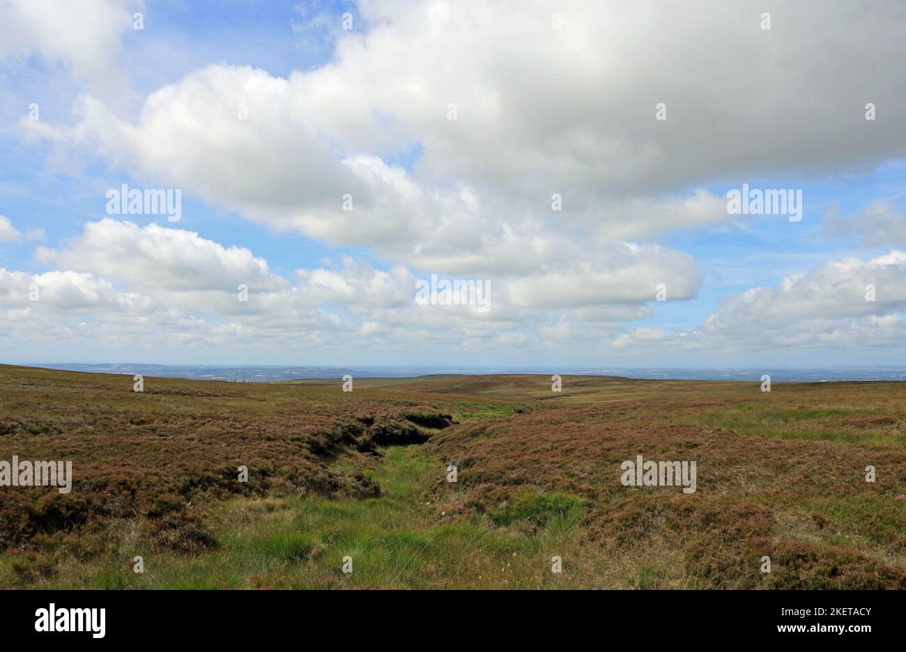 Moorland on the approach to Great Hill from Redmond's Edge on the West ...