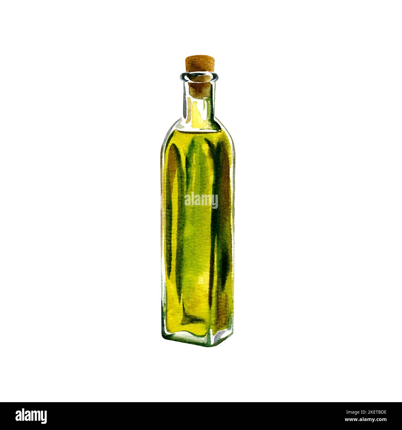 Olives oil and herbs. Watercolor illustration of olives, oil and herbs ...