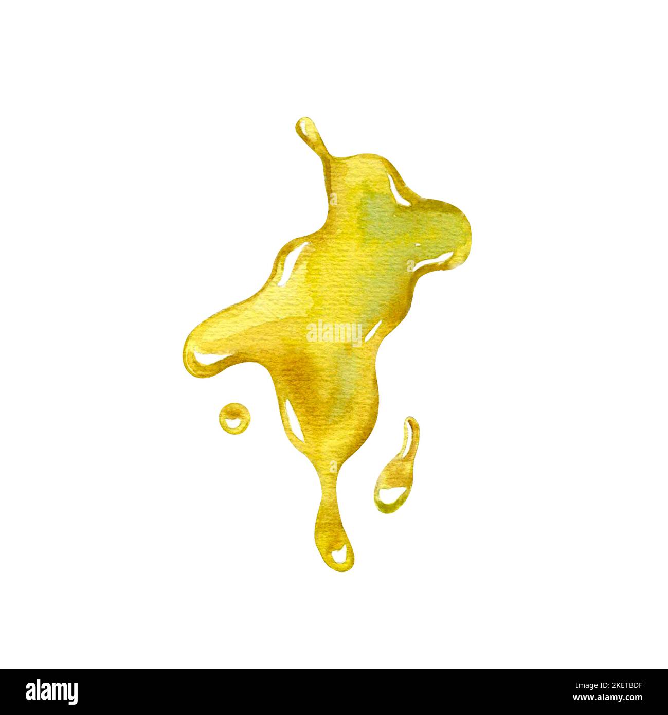 Olives oil and herbs. Watercolor illustration of olives, oil and herbs ...