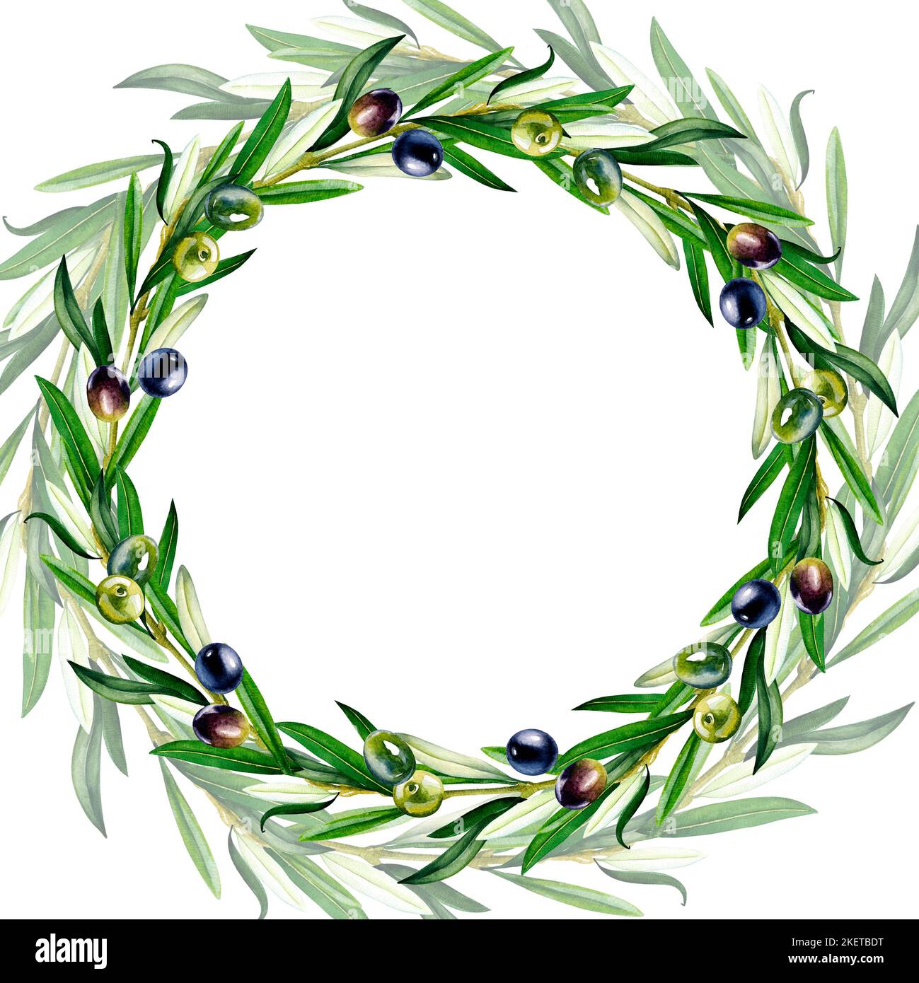 Olives oil and herbs. Watercolor illustration of olives, oil and herbs ...