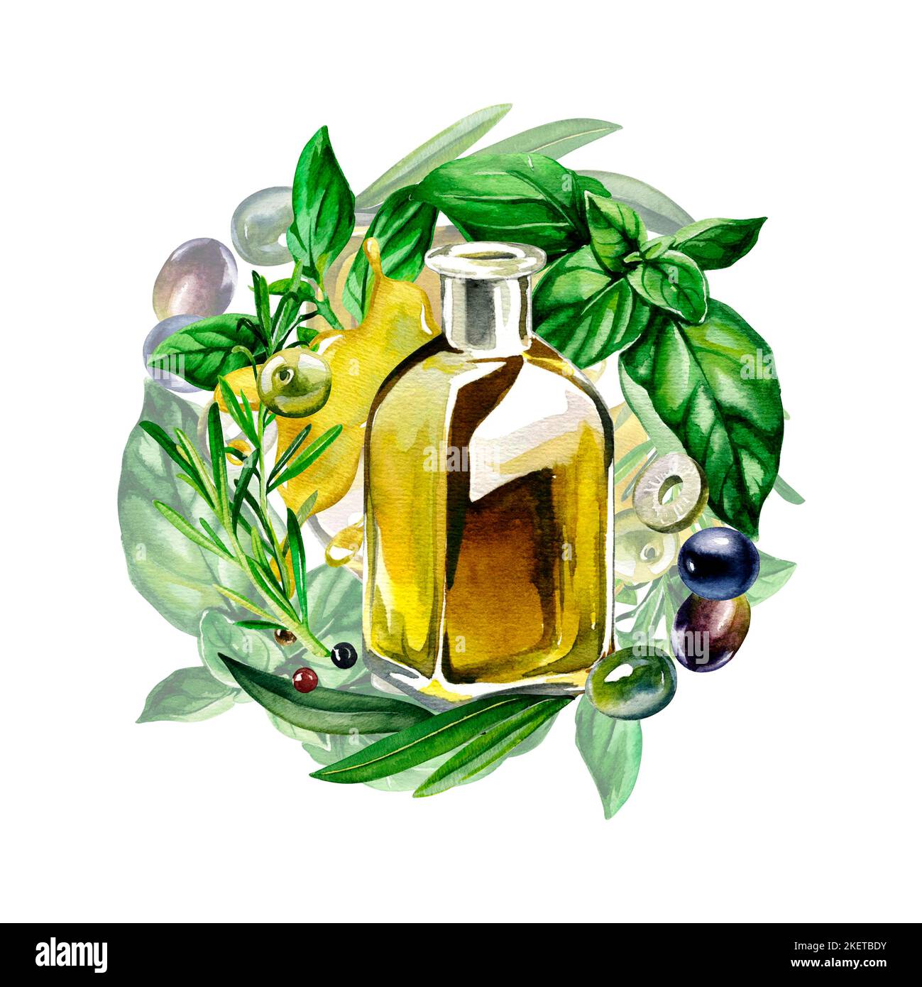 Olives oil and herbs. Watercolor illustration of olives, oil and herbs ...