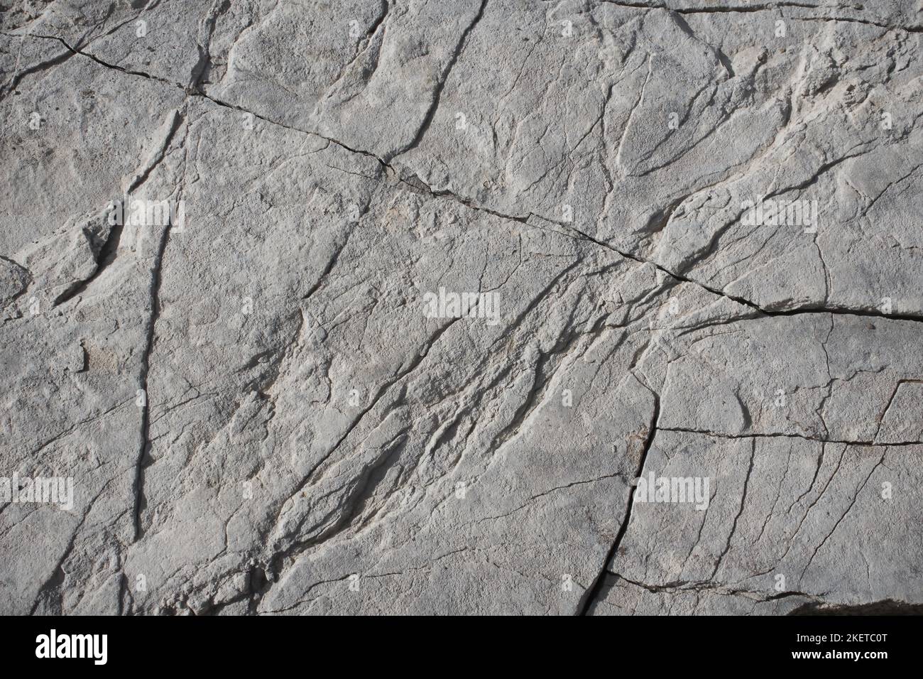 Seamless Cracked Stone Texture