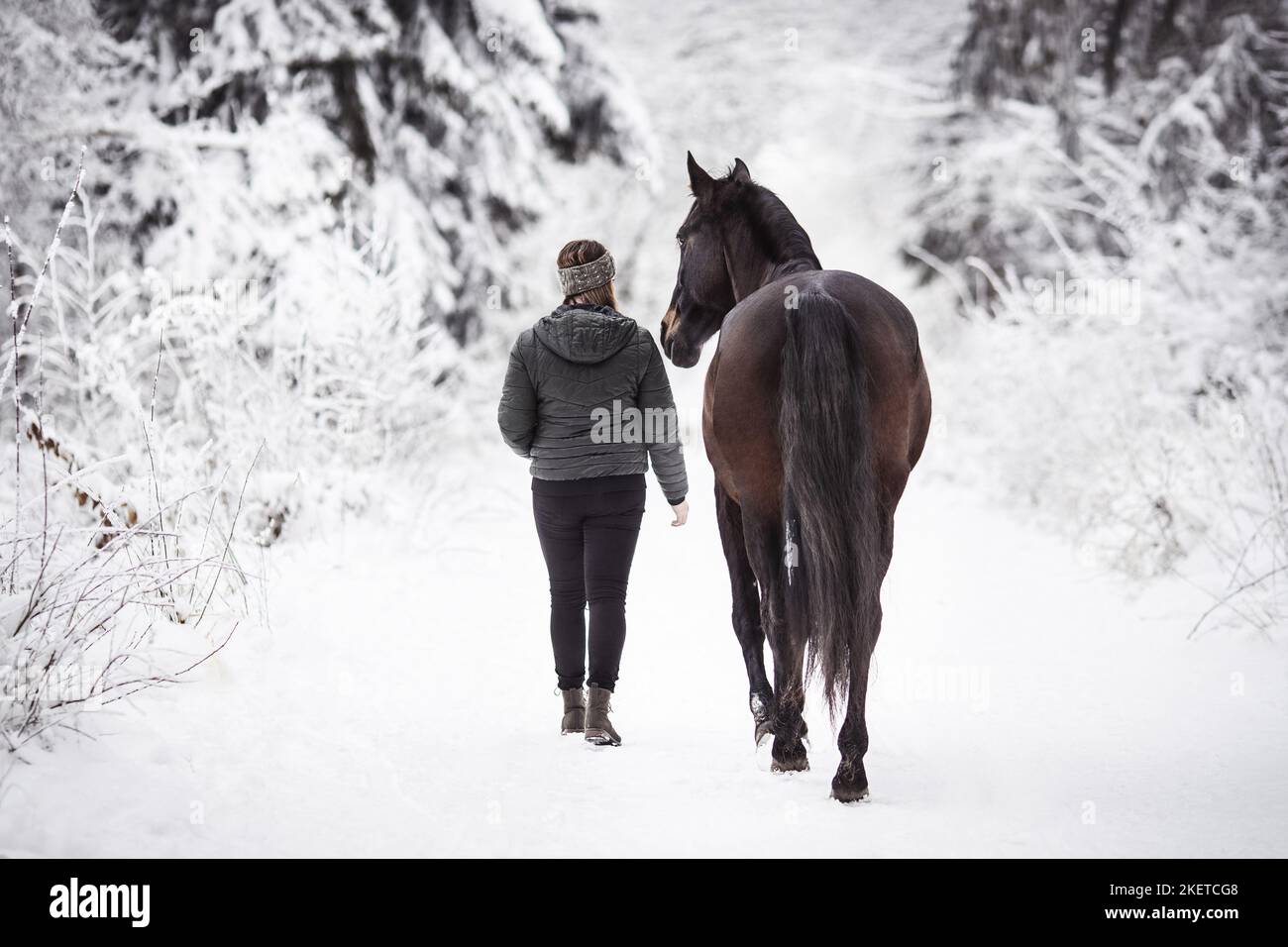 human and Andalusian horse Stock Photo - Alamy