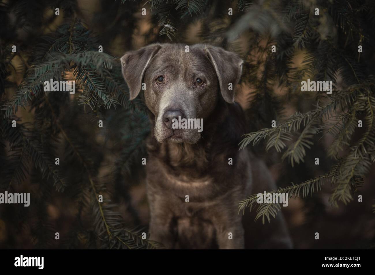 13 portrait heads hi-res stock photography and images - Alamy