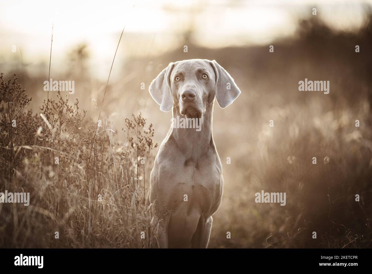 Sunrise 3 years hi-res stock photography and images - Alamy