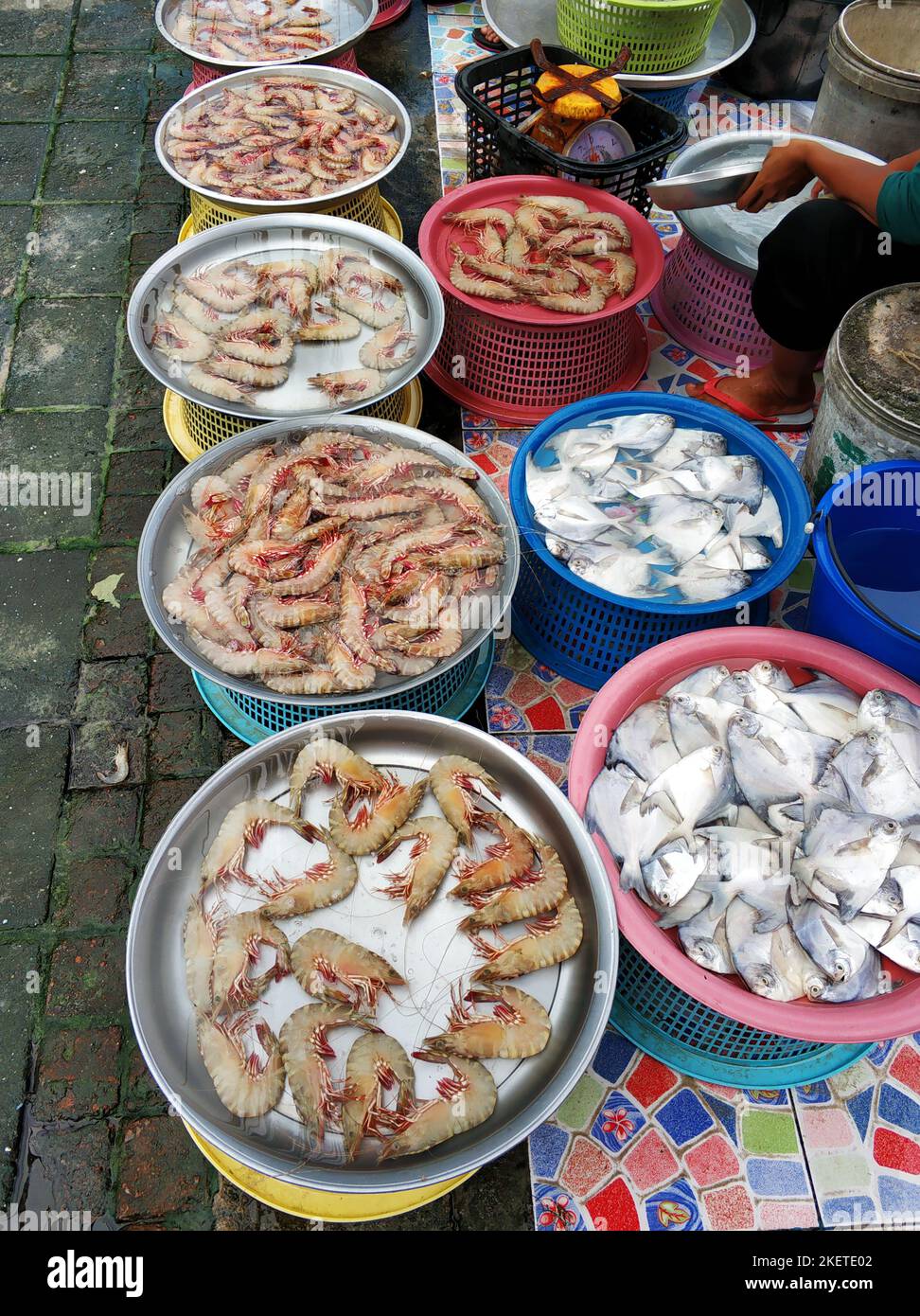 A counter with fresh fish at the fish market Stock Photo - Alamy