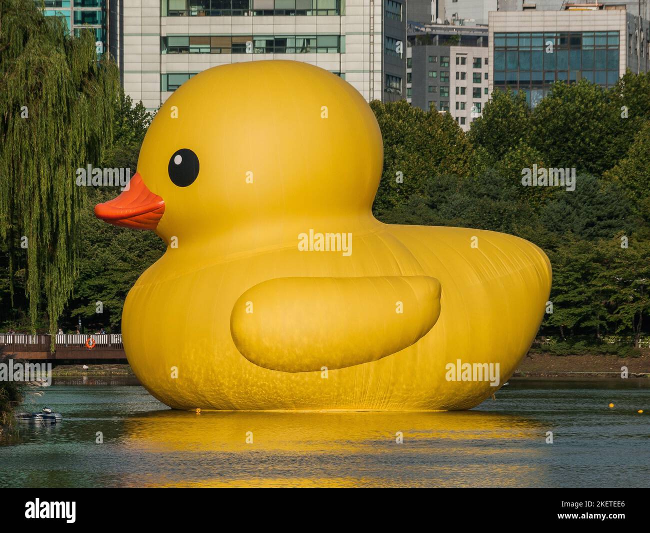 Seoul, South Korea - Oct.07.2022: The rubber duck project in Seoul ...