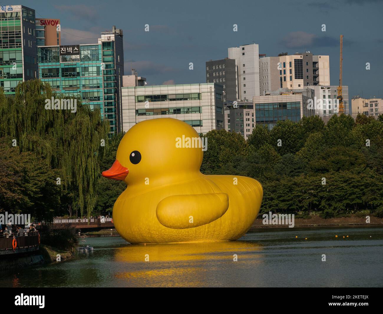 Seoul, South Korea - Oct.07.2022: The rubber duck project in Seoul ...