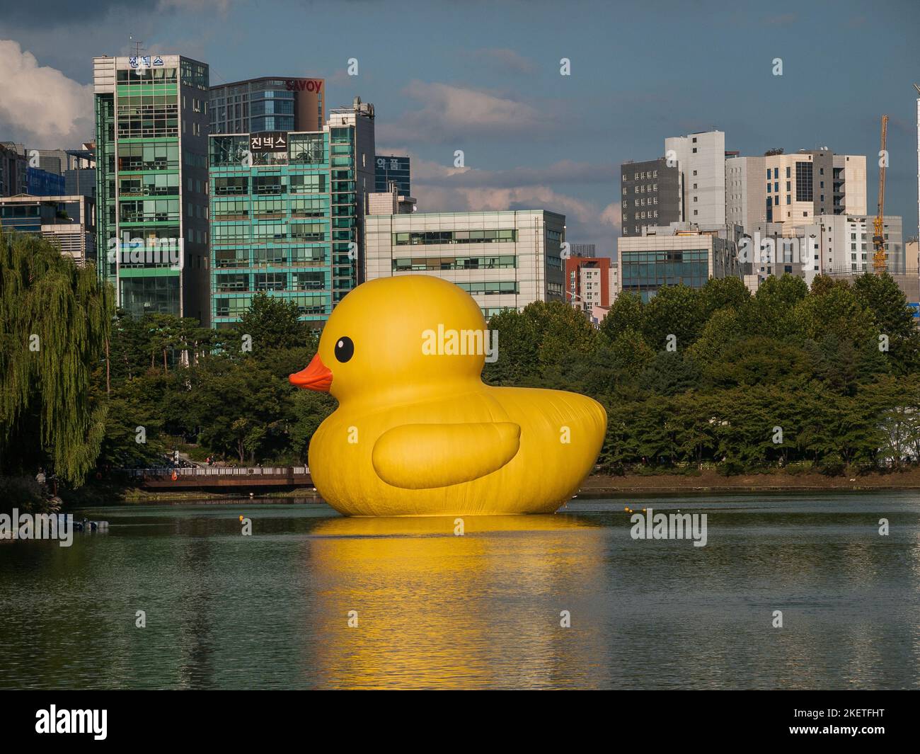 Seoul, South Korea - Oct.07.2022: The rubber duck project in Seoul ...