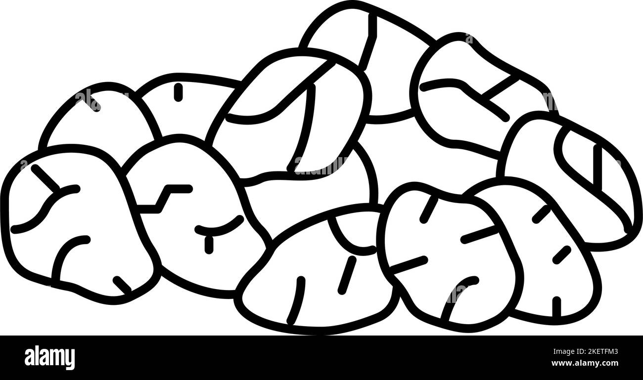 cranberry dried fruit line icon vector illustration Stock Vector Image ...