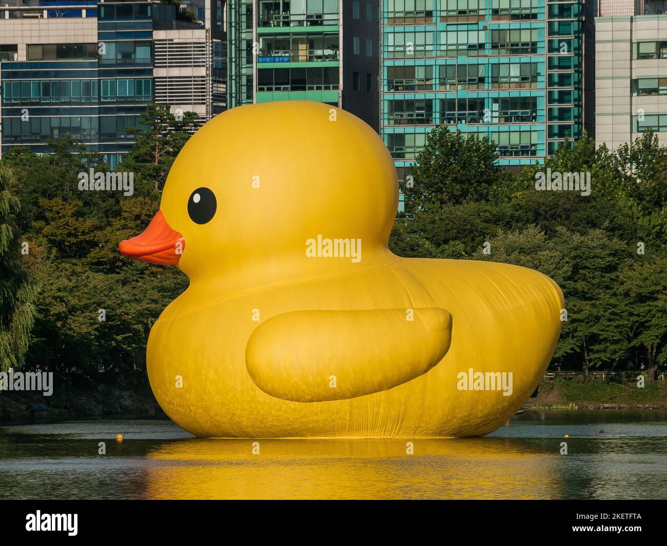 Seoul, South Korea - Oct.07.2022: The rubber duck project in Seoul ...