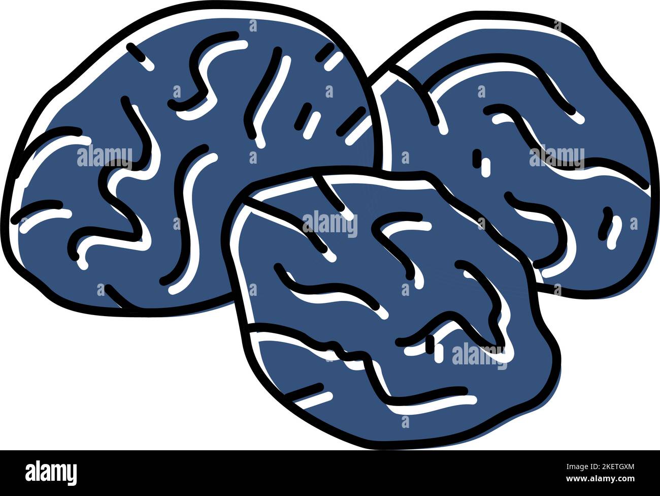 Prunes fruit Stock Vector Images - Alamy