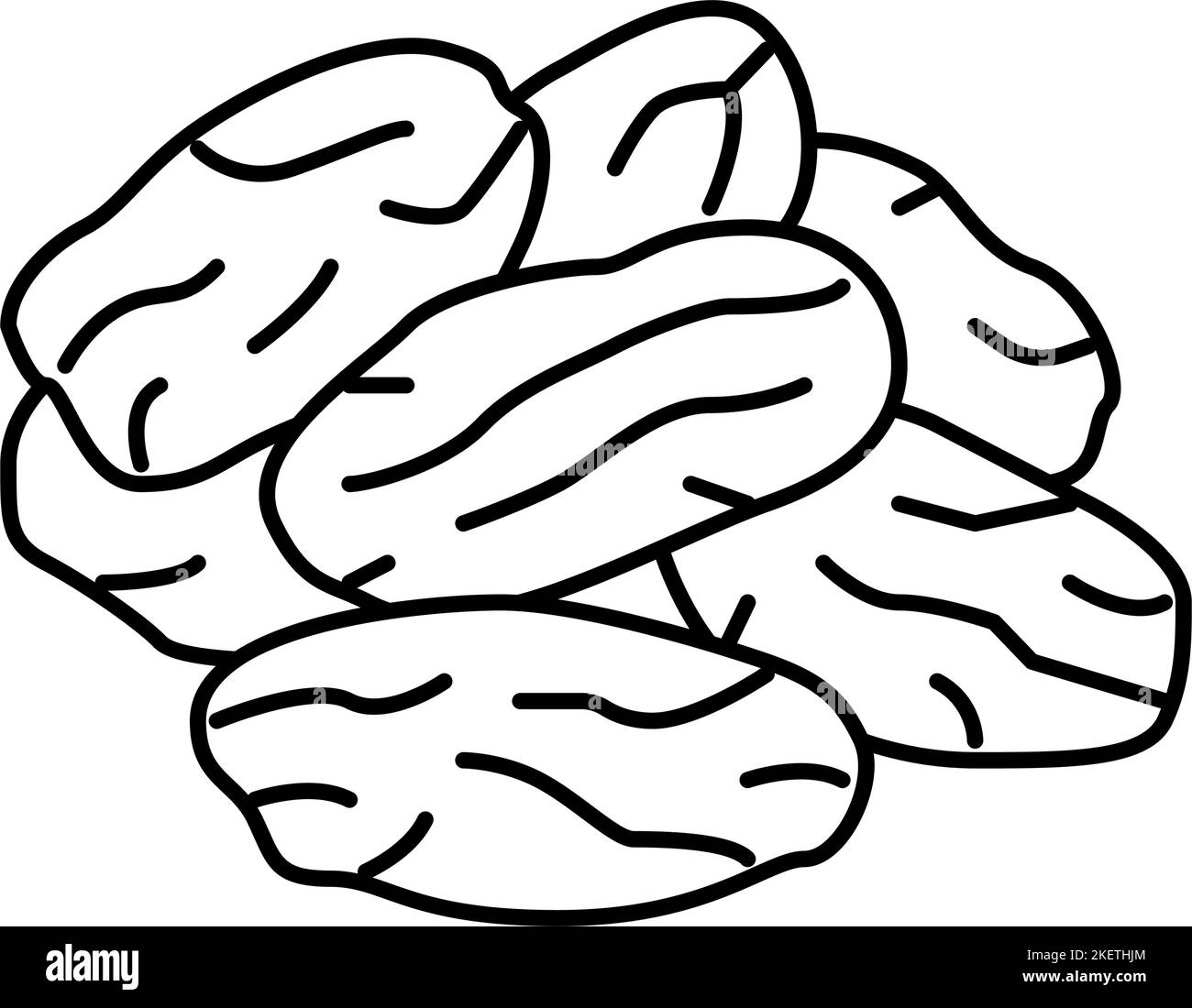 dates dried fruit line icon vector illustration Stock Vector Image ...