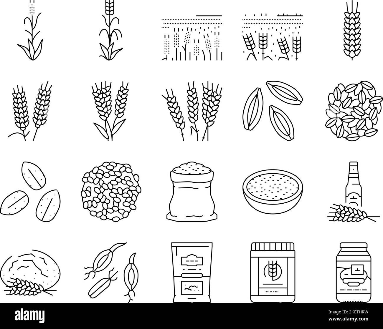 barley cereal grain harvest icons set vector Stock Vector Image & Art ...