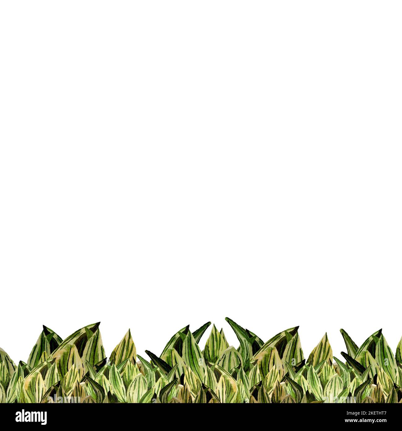 Hand painted foliage border hi-res stock photography and images - Alamy