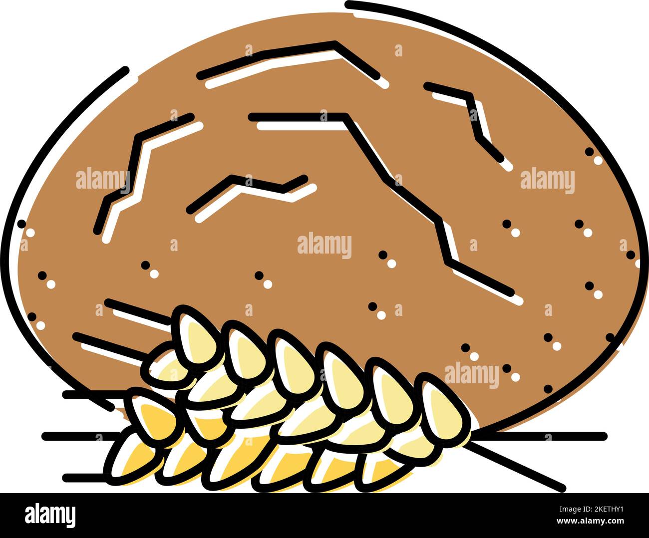 bread barley ear color icon vector illustration Stock Vector Image ...