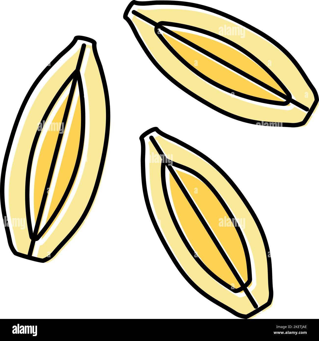 barley grain unpeeled color icon vector illustration Stock Vector Image ...