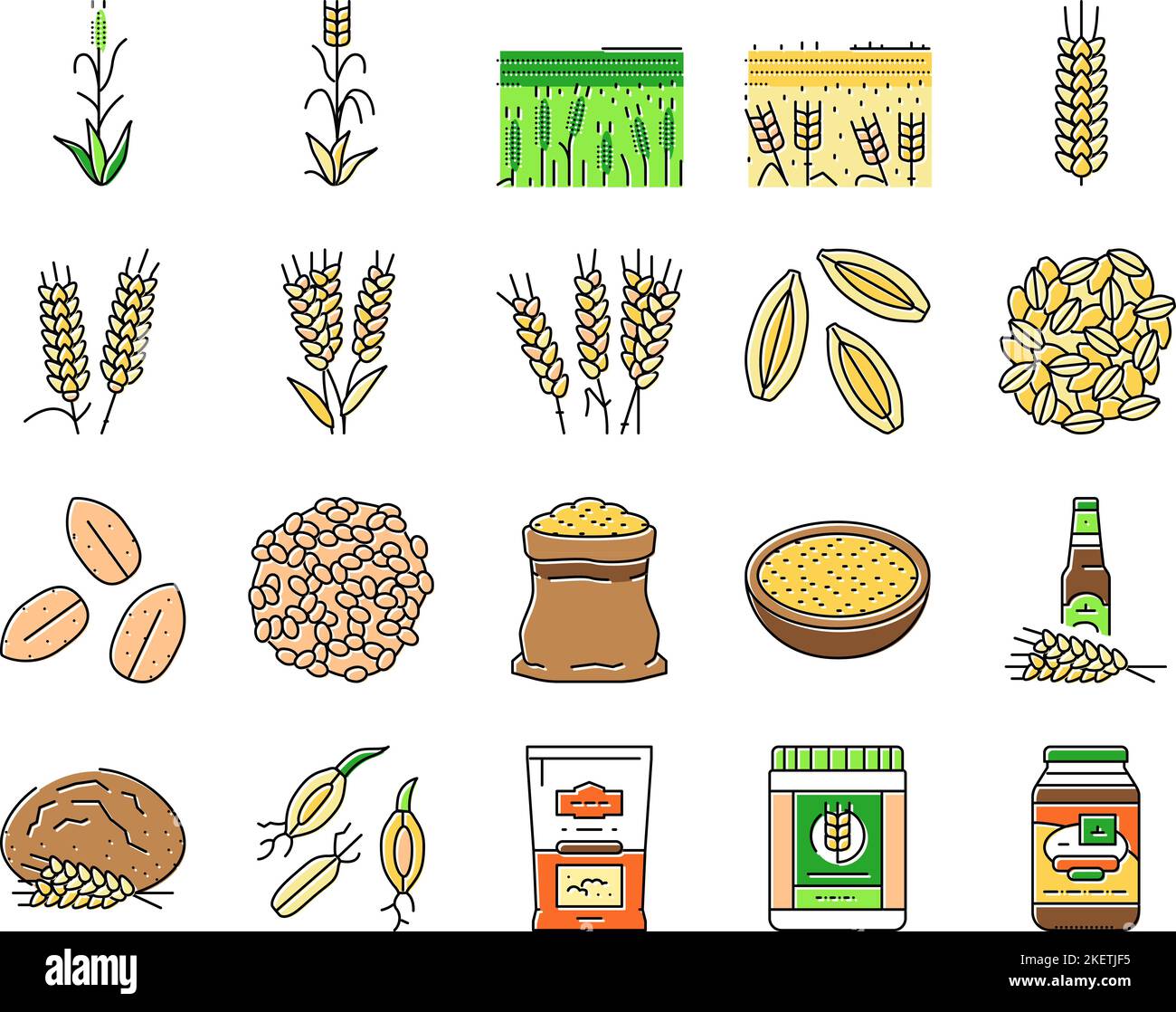barley cereal grain harvest icons set vector Stock Vector Image & Art ...