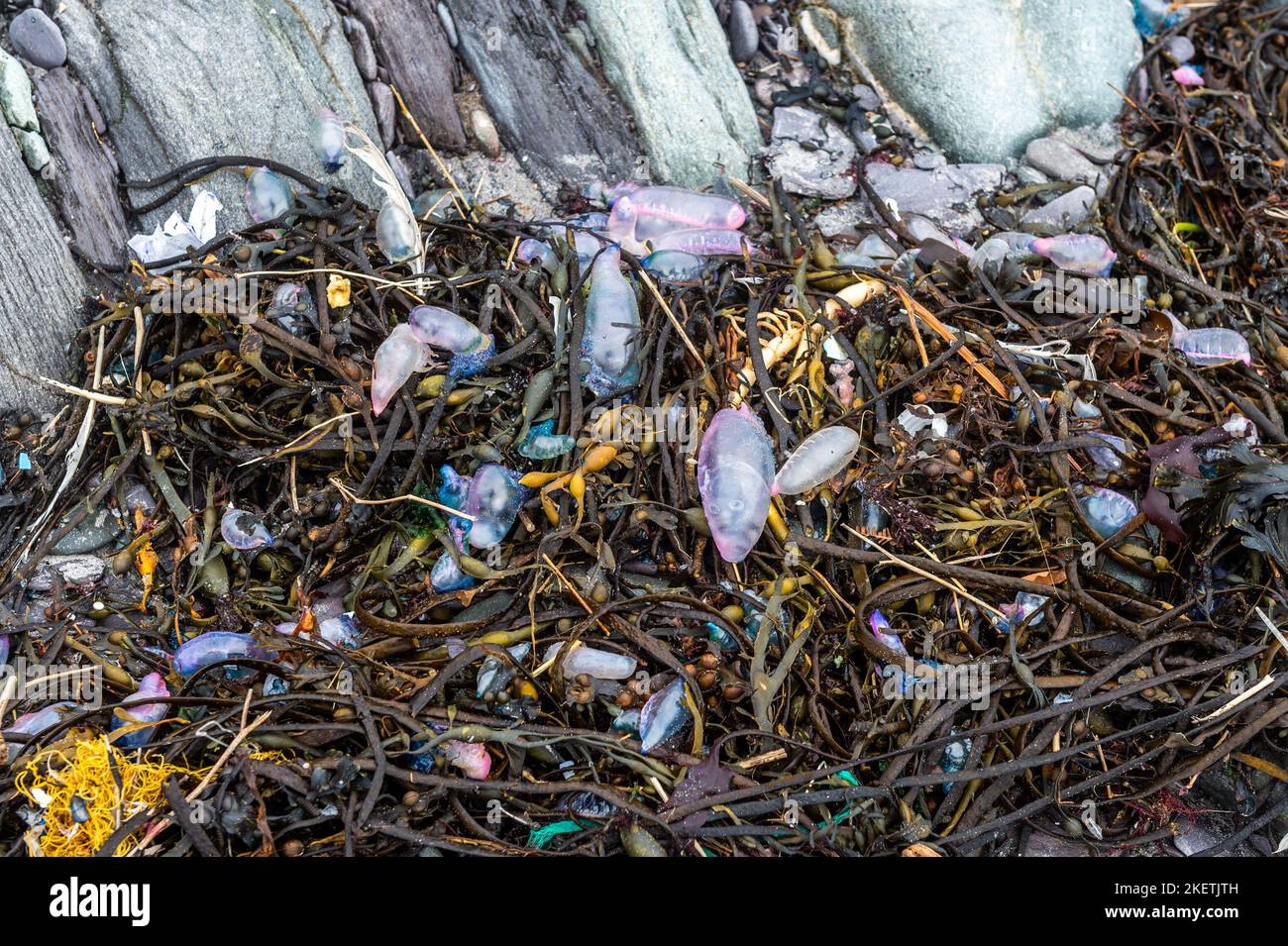 Tragumna beach hi-res stock photography and images - Alamy