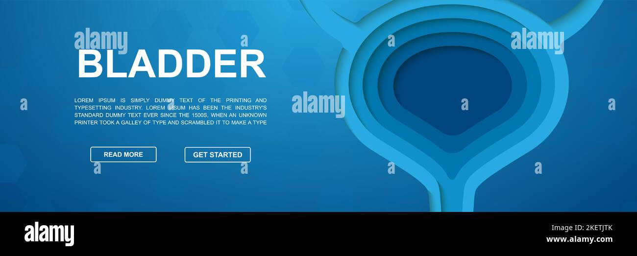 Bladder 3d paper cut symbol for head promotion banner. Reproductive ...