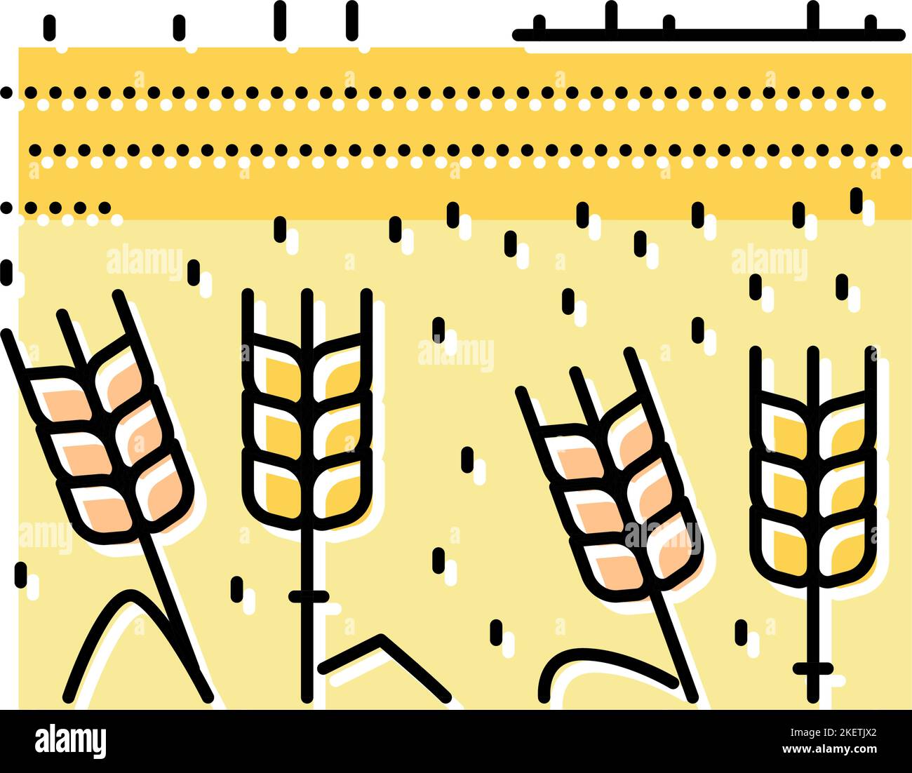 field barley yellow color icon vector illustration Stock Vector Image ...