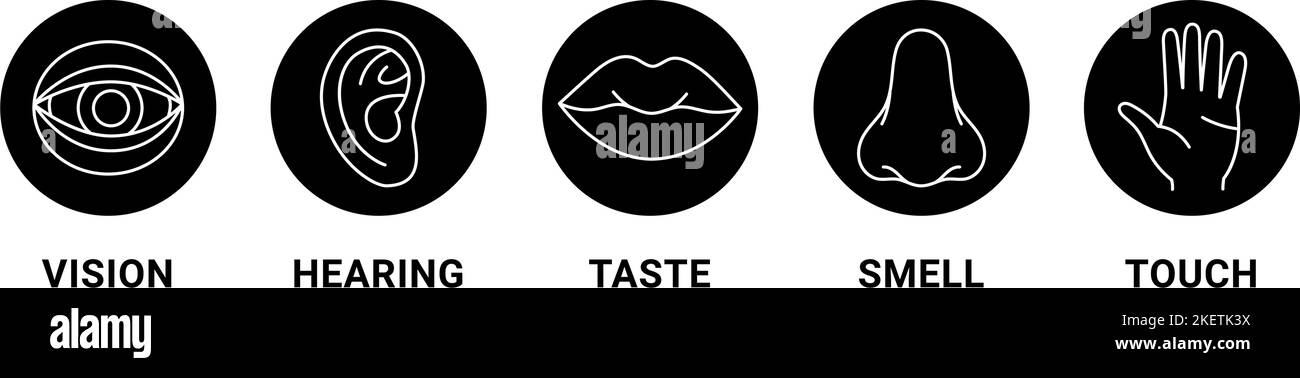 Five senses Black and White Stock Photos & Images - Alamy