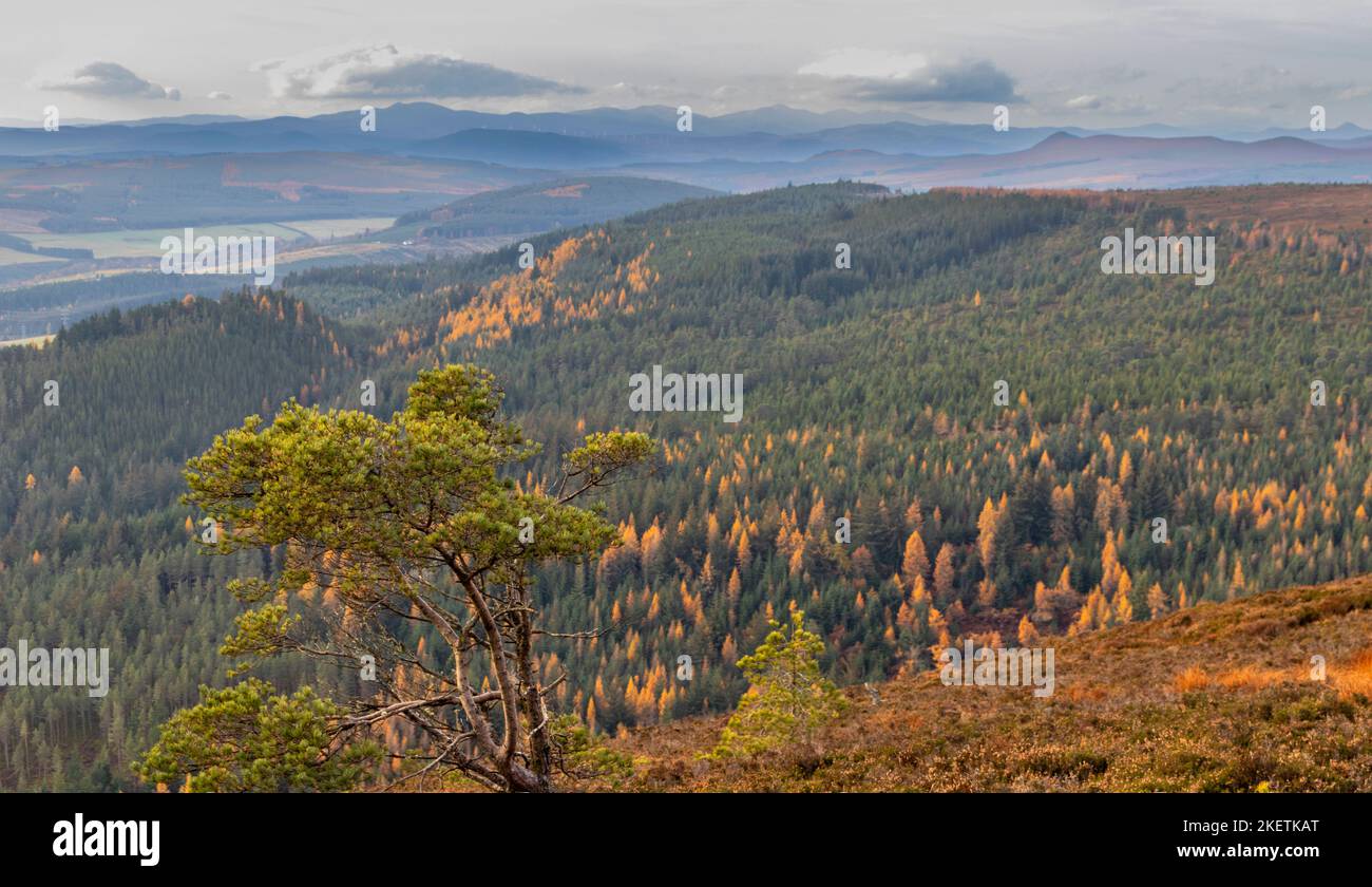 Fyrish Monument Alness Scotland view from the monument towards the blue ...