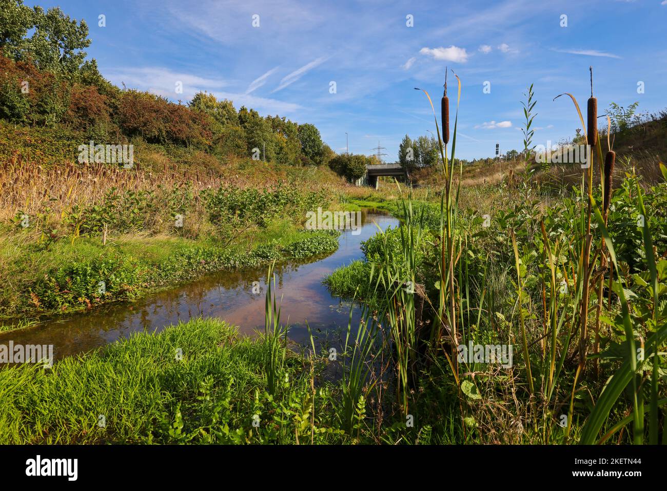Bottrop-Gladbeck, North Rhine-Westphalia, Germany - Renaturalized Boye ...