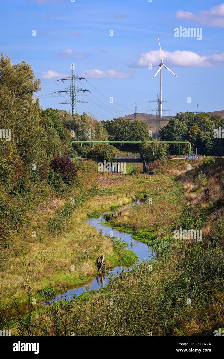 Bottrop-Gladbeck, North Rhine-Westphalia, Germany - Renaturalized Boye ...