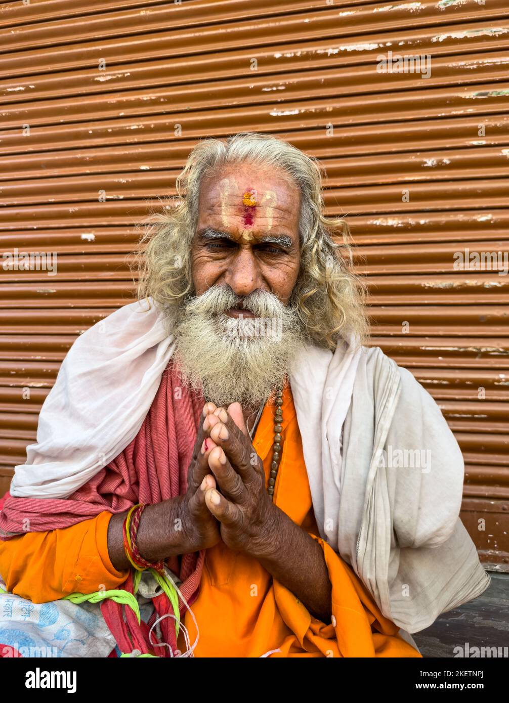 Pushkar, Rajasthan, India - November 2022: Portrait of an old sadhu ...
