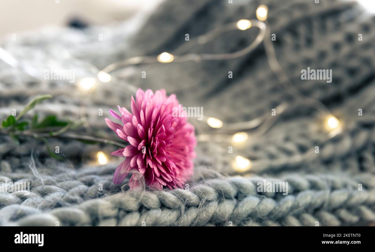 A small pink flower on a knitted element close-up Stock Photo - Alamy